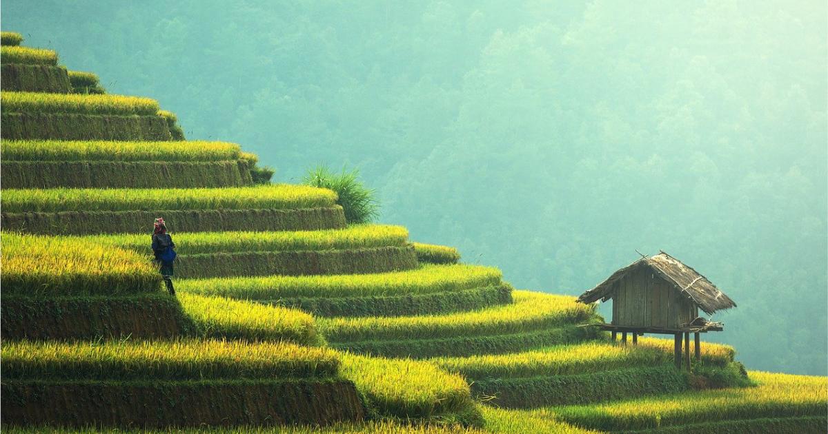 Digital Transformation To Drive Waste Management