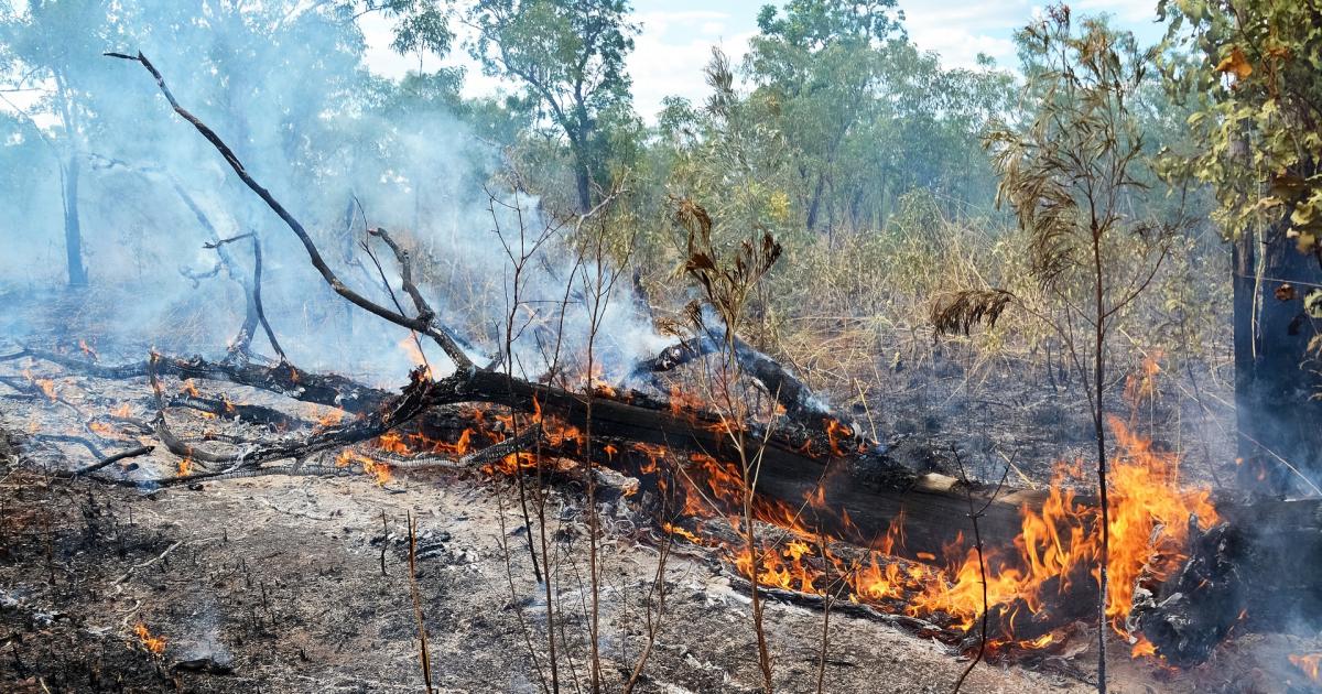 NSW Initiates Grants for First Round of Bushfire Technology Trials